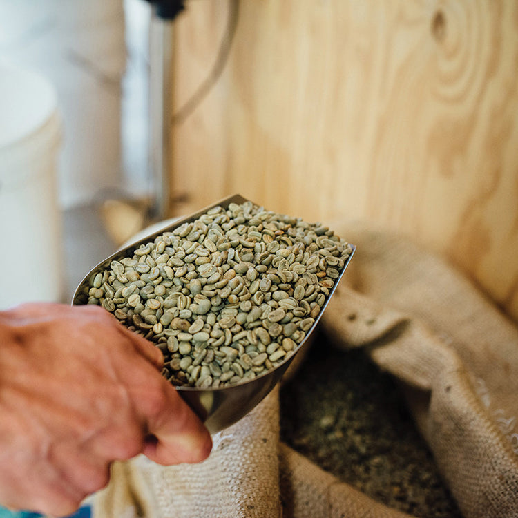 Our Story - First Batch Specialty Coffee Roasters – First Batch Coffee ...